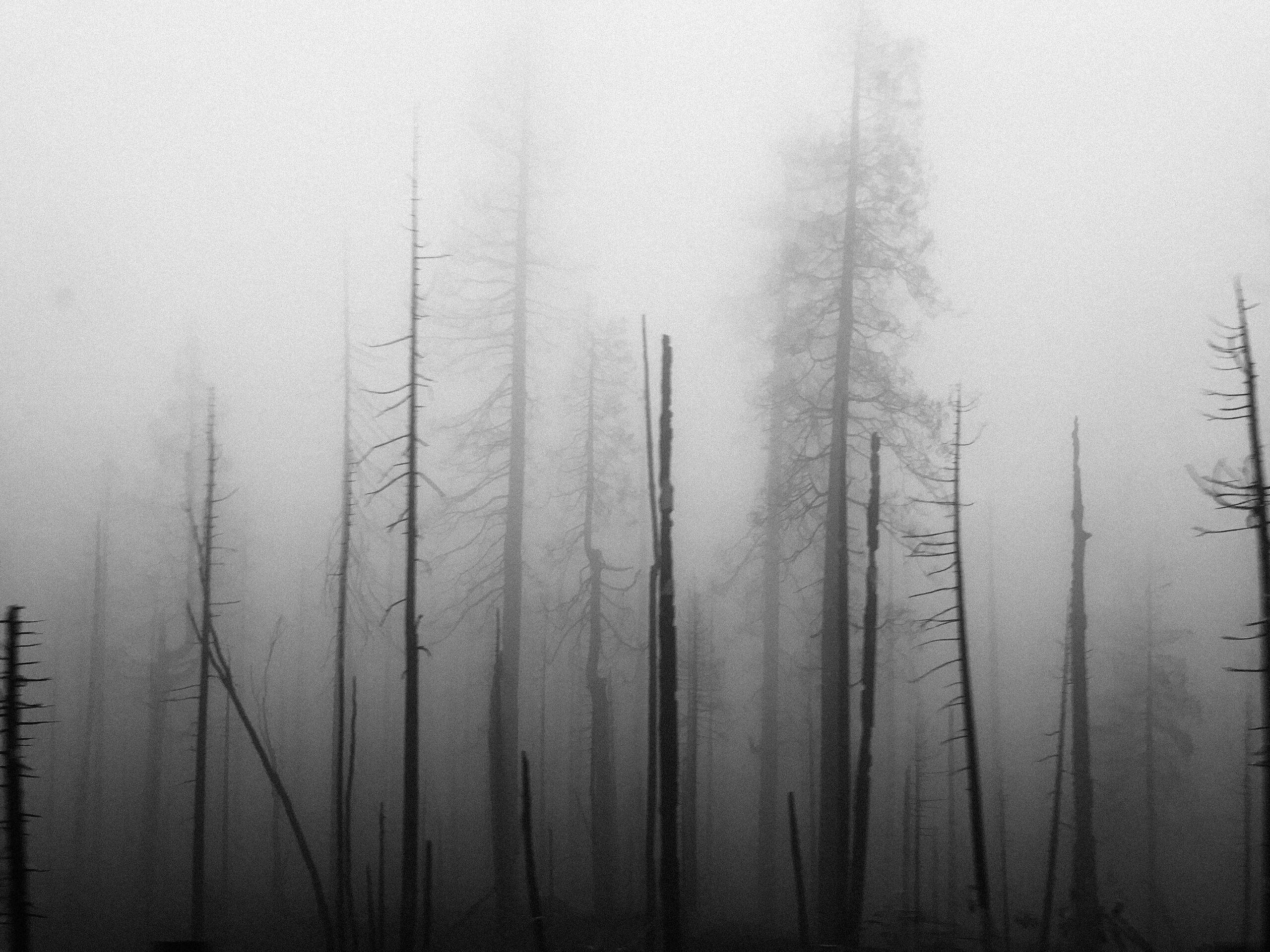 How to Find and Remove Dead Code | LinearB Blog